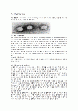 조류 인플루엔자 (Avian influenza)-1페이지