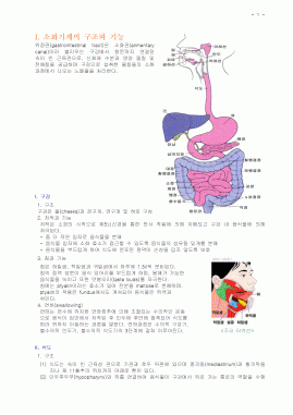 소화기계 사전학습-1페이지