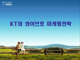 KT의 와이브로 마케팅전략-1페이지