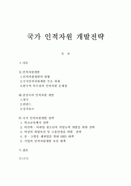 국가 인적자원 개발전략-1페이지