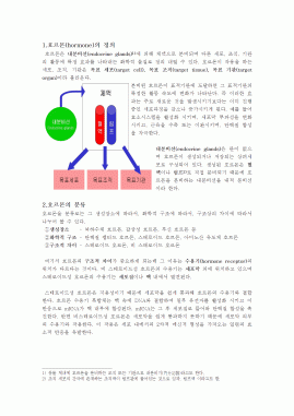 내분비선(endocrine glands)과 호르몬, 운동과의 관계-1페이지