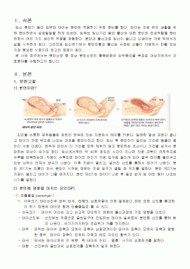 모성간호케이스]] 정상분만-1페이지