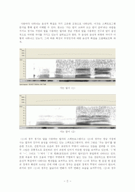 음운분석리포트-1페이지