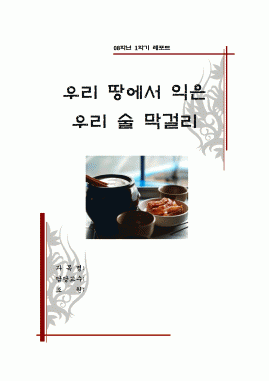 [분석/조사] 막걸리 조사-1페이지