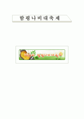 [분석/조사] 함평나비축제 -1페이지