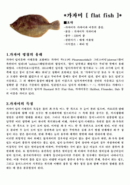 가자미[flat fish]의 특징 분포,분류,종류 및 생태-1페이지