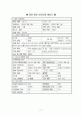 자연 분만 산모간호 케이스-1페이지