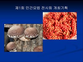 민간요법 전시 컨벤션 기획서-1페이지