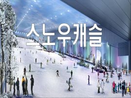 스노우캐슬 시장조사 (ppt)-1페이지