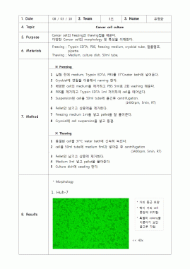 cell culture - cancer cell-1페이지