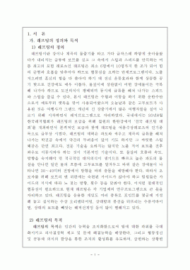 (레저스포츠)래프팅의 이해(장비, 기술, 유래 및 역사적 배경 등)-1페이지