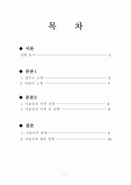 아올다의 마케팅 전략-1페이지