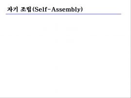 자기 조립(Self-Assembly)-1페이지