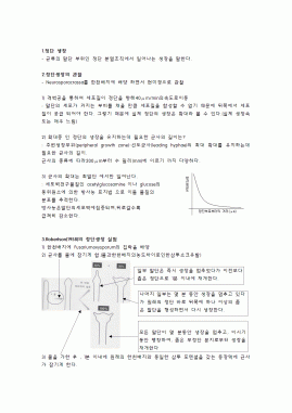 균류의 정단생장에 관한 조사-1페이지