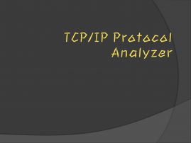 TCP/IP Protocol Analyzer (Ethernet)-1페이지