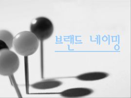 브랜드와네이밍-1페이지