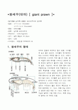 왕새우(대하)의 영양성분 및 효능효과-1페이지