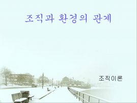 조직과 환경의 관계 분석 -1페이지