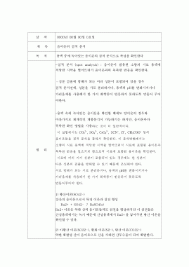 음이온의 점적 분석-1페이지