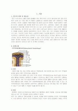 지주막하출혈(SAH)-1페이지