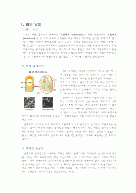 골다공증과 식사요법-1페이지