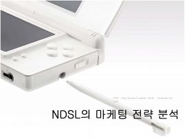 닌텐도DS의 마케팅사례분석-1페이지