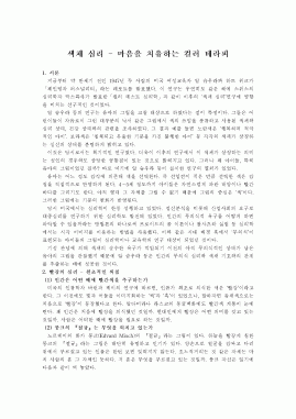 색채의 심리-1페이지