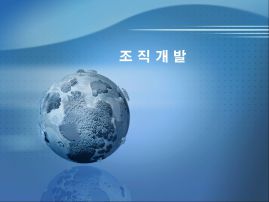 조직개발 레포트-1페이지