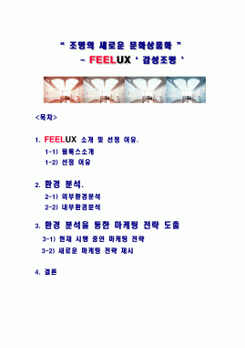 국제마케팅 성공 기업 사례 - FEELUX의 사례와 새로운 전략 제언 레포트 -1페이지