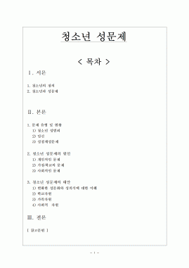 청소년 성문제 [사범/법학]-1페이지