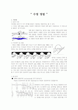 수영영법(100% 신상, 저작권)-1페이지