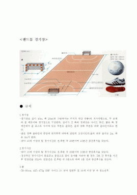 [체육레포트]핸들볼의 규칙과 전술-1페이지