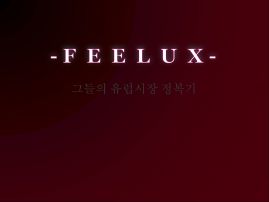 FEELUX(필룩스) 해외마케팅사례분석-1페이지