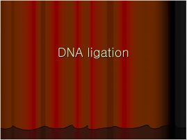 [자연과학] DNA ligation-1페이지