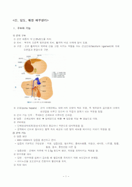 [성인간호학] 간,담도,췌장 해부생리 요약정리-1페이지