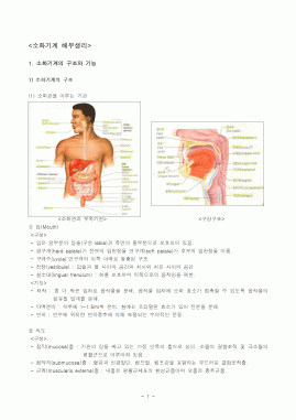 소화기계 요약정리-1페이지