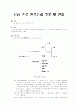 분상 유도 전동기의 구조 및 원리(결과)-1페이지