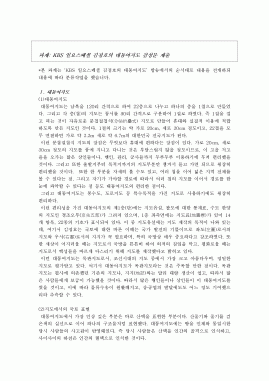 KBS 일요스페셜 김정호의 대동여지도 감상문 -1페이지