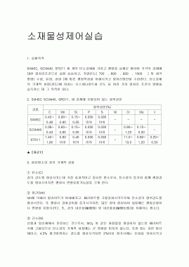 소재물성제어실습jo.-1페이지