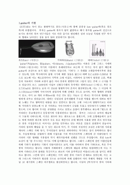 기타의 역사-1페이지