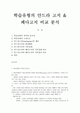 학습유형의 안드라 고지 & 페다고지 비교 분석-1페이지