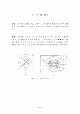 등전위선 등전위선 예비 등전위선 예비 리포트-1페이지