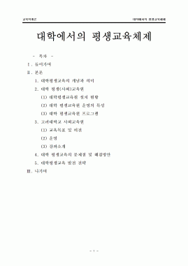 대학의 평생교육체제분석-1페이지