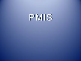 pmis 발표-1페이지
