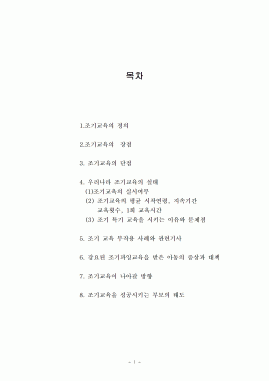 조기교육의 부작용 부모교육-1페이지