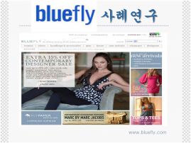 마케팅관련 blue fly 사례연구-1페이지