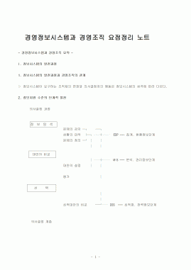 [경영정보시스템, 경영조직, 경영정보시스템과 경영조직] 경영정보시스템과 경영조직 요점정리 노트-1페이지