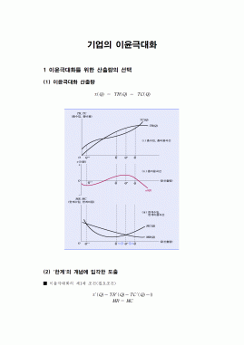 기업의 이윤극대화 조건  -1페이지