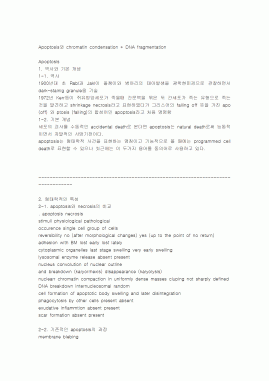 Apoptosis와 chromatin condensation + DNA fragmentation-1페이지