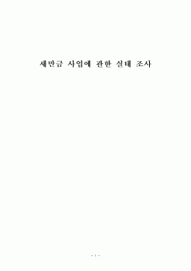 새만금 사업에 관한 실태 조사-1페이지